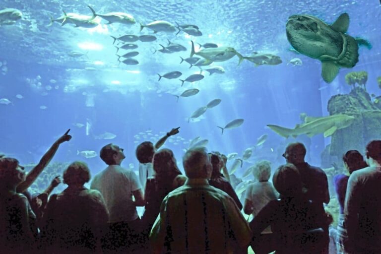 Discover the Fascinating World of the Lisbon Oceanarium - Family Getaway